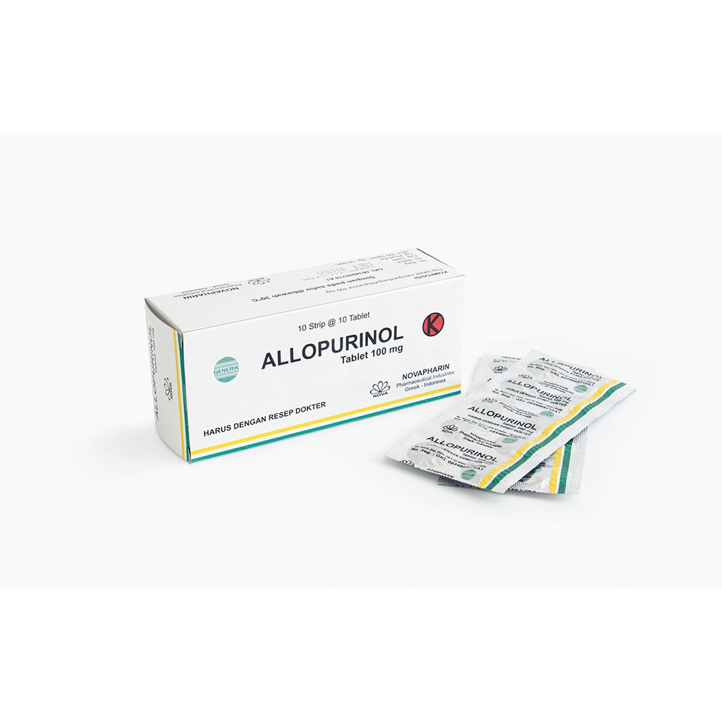 Jual Allupurinol 100mg 1 Strip 10 Tablet Generik | Shopee Indonesia