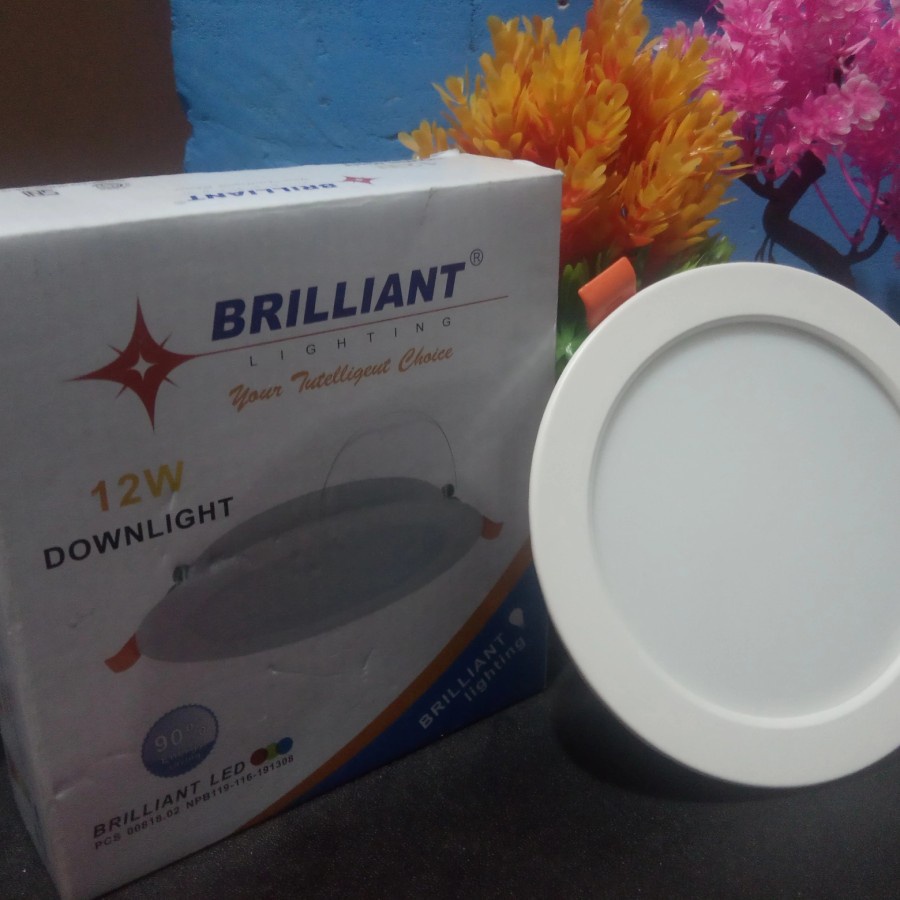 Jual DOWNLIGHT LED PANEL 12 WATT - BRILLIANT - COOL DAY LIGHT PUTIH ...