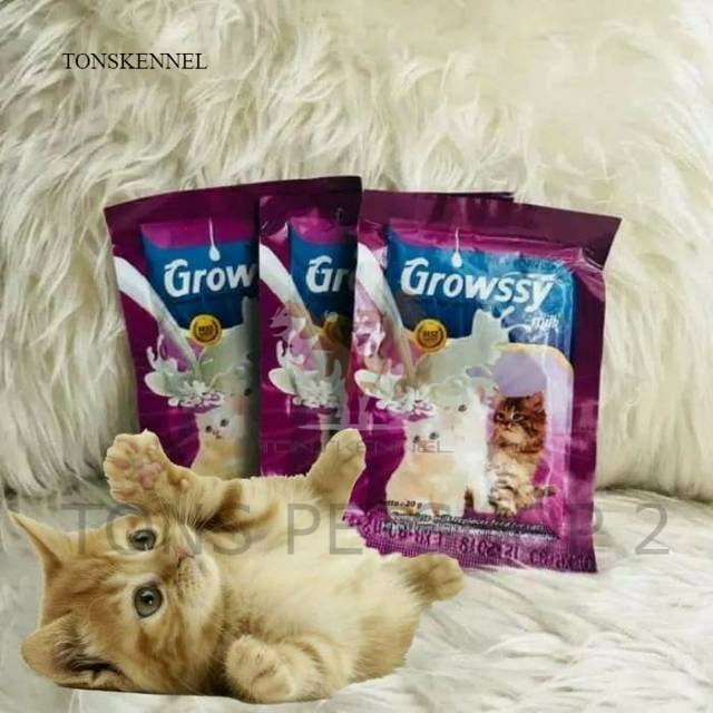 Jual Growssy Milk Kitten 20gr Sachet Susu Anak Kucing Growsy Koneko ...