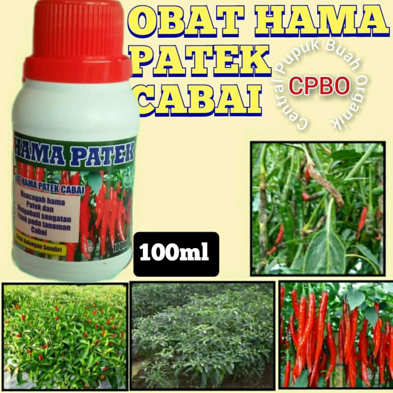 Jual Obat Hama Patek Pada Cabe Penyakit Hama Patek pada Cabai 100ml ...