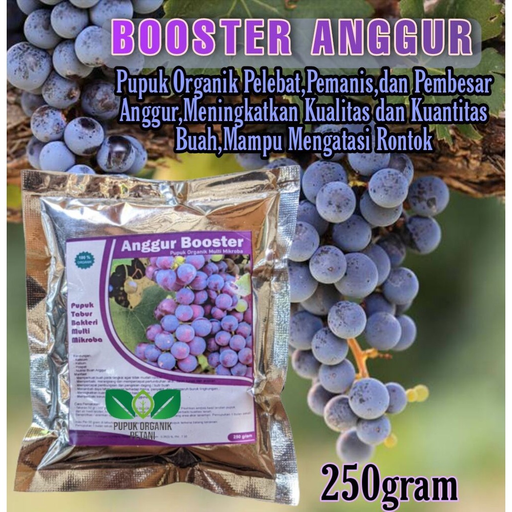 Jual Pupuk Anggur Pelebat Organik Booster Buah agar cepat berbuah lebat cocok untuk anggur ...