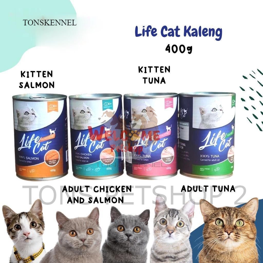 Jual Life Cat 400gr Kaleng Adult Kitten Makanan Kucing Basah Lifecat ...