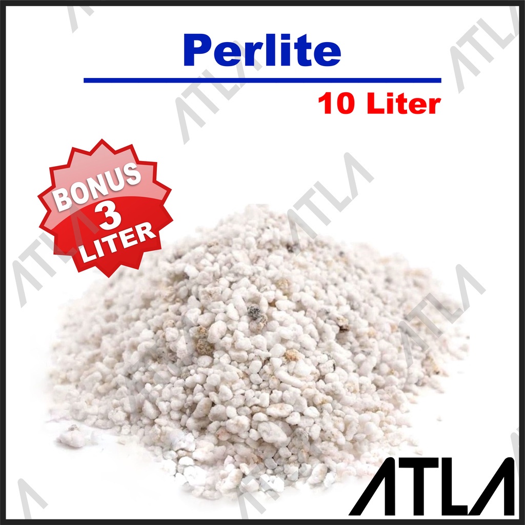 Jual Perlite 10 Liter 1kg Media Tanam Hias Hidroponik Kaktus 1 kg ...