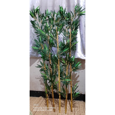 Jual Batang Bambu Partisi T 150cm Bambu Hiasan Dekorasi Bambu Penyekat ...