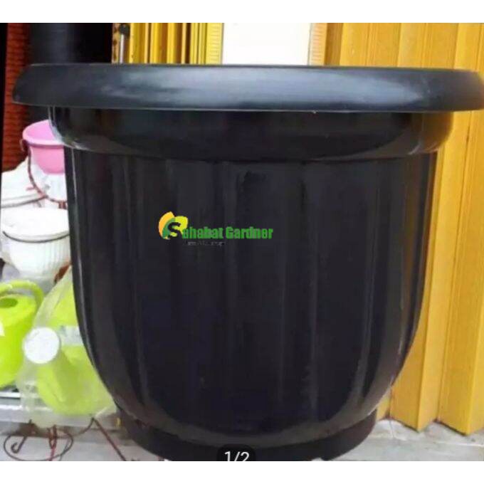 Jual pot besar ukuran 50 cm/pot tanaman Gloria ukuran 50cm | Shopee ...
