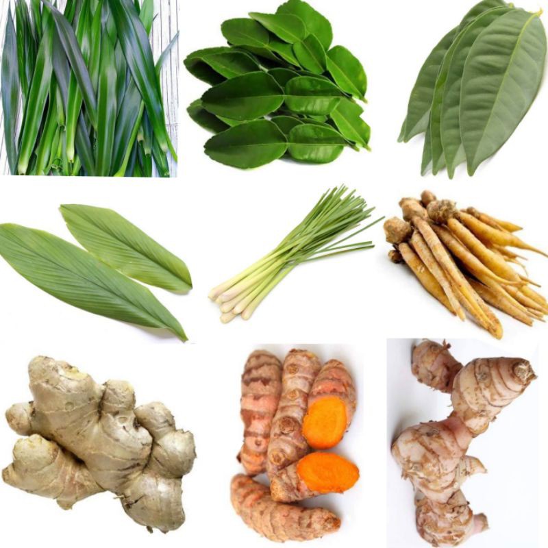 Jual Daun Kunyit/Jahe Rempah/Biang Kunyit/Daun Jeruk/Daun Salam/Daun ...