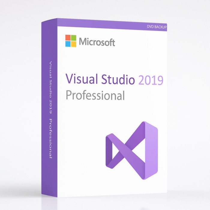 Jual Visual Studio 2019 Professional Lifetime Licence Original | Shopee ...