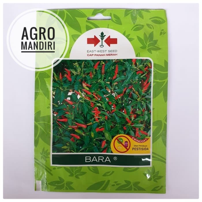 Jual Isi 500 Benih Bibit Cabai Rawit Bara Small Pouch Cabe Cap Panah ...