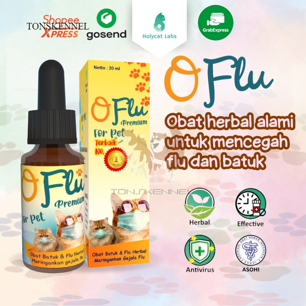 Jual Royal Care Obat Batuk Herbal OFLU Premium Obat Flu Tetes untuk ...