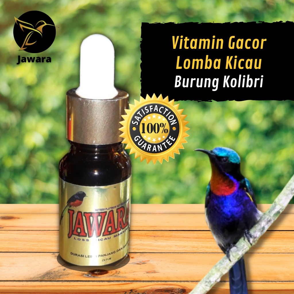 Jual Vitamin Burung JAWRA, Spesial Vitamin Lomba Kicau Burung Kolibri ...