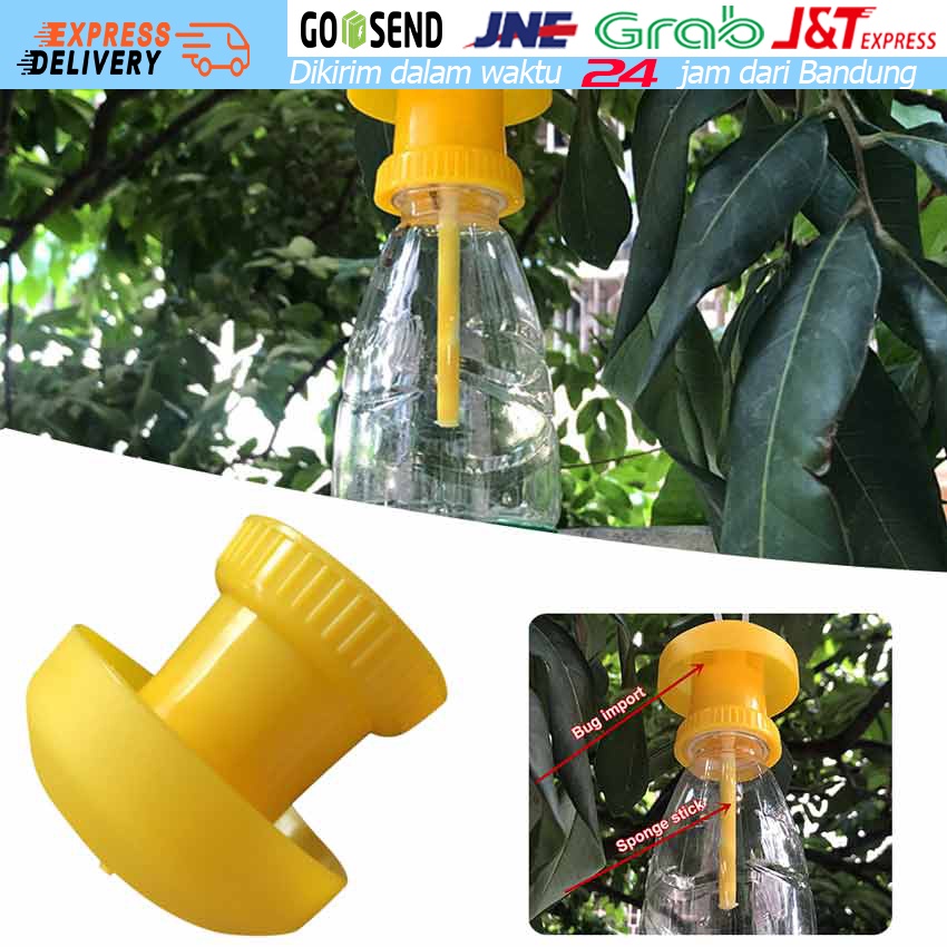 Jual Perangkap Lalat Buah Drosophila Bahan Plastik Warna Kuning Tutup ...