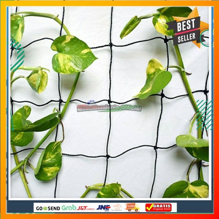 Jual Jaring Tanaman Rambat/Buah/Sayuran Sudah Termasuk Tali Frame ...