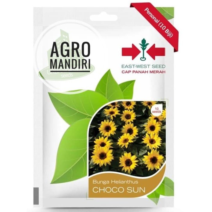 Jual Bibit Benih Bunga Matahari Helianthus Choco Sun 10 Butir | Shopee ...