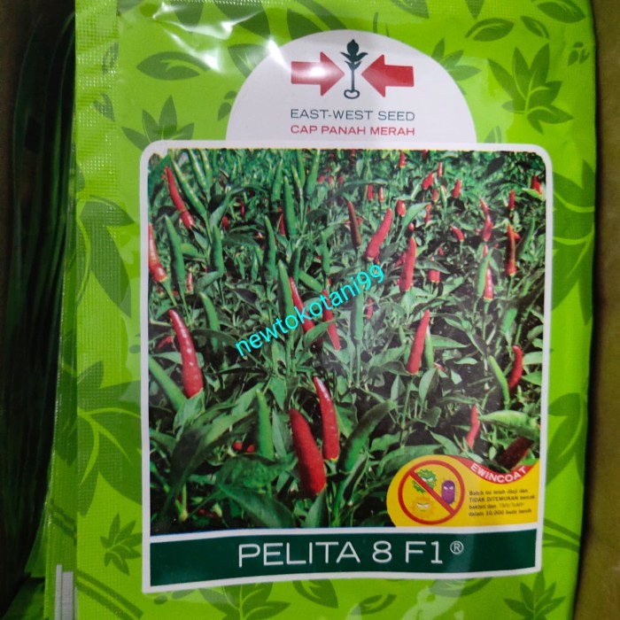 Jual benih cabe PELITA 8 F1 2250 butir cabai rawit hijau dari panah ...