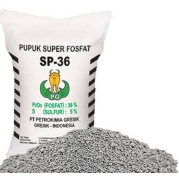 Jual PUPUK SP 36/PUPUK TSP/PUPUK NPK/ISI 500gr - 1KG | Shopee Indonesia