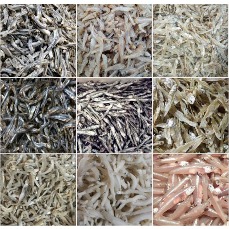 Jual Teri Medan Teri Nasi Teri Jengki Teri Daging Teri Tawar