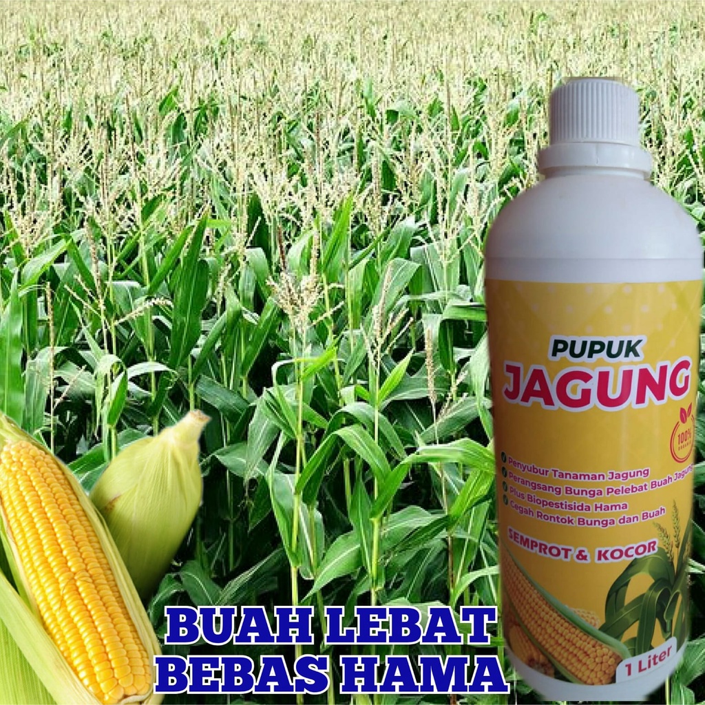 Jual Pelebat Jagung Tongkol Besar 1liter Obat Pelebat Jagung Panen Hasil Lebih Banyak - Pupuk ...