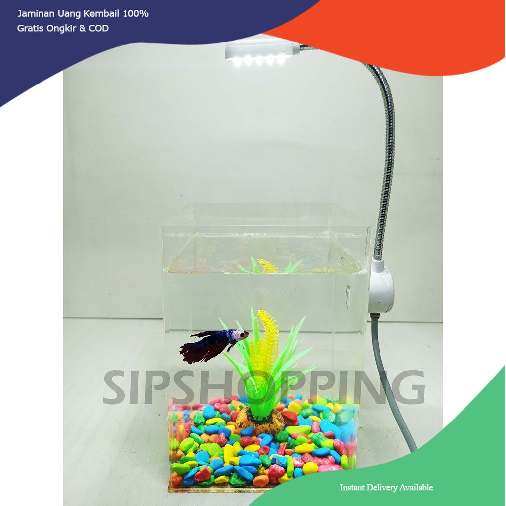 Jual Aquarium cupang, aquarium akrilik cupang, akuarium cupang ...