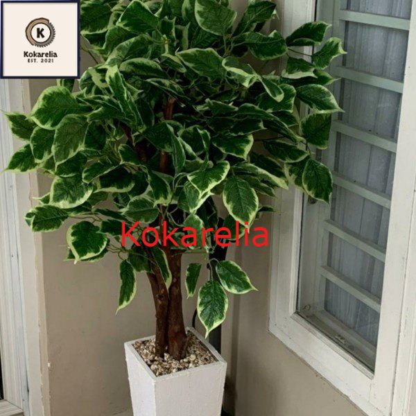 Jual Pohon Hias Artificial Sinfu Tanaman Pot Plastik Tinggi Besar ...