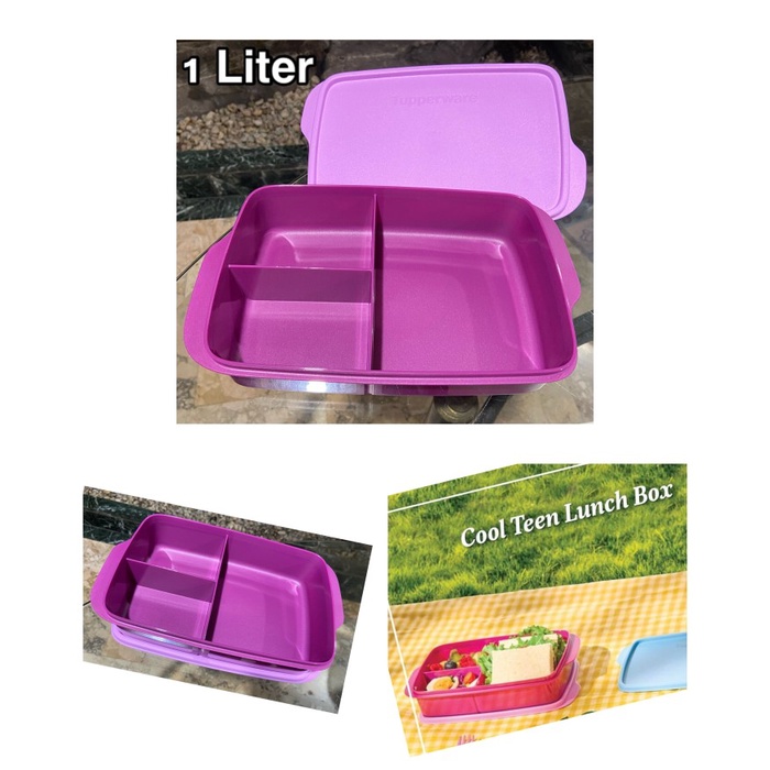 Jual Tempat Makan bersekat Tupperware Coolteen Lunch set - Tutup Biru ...