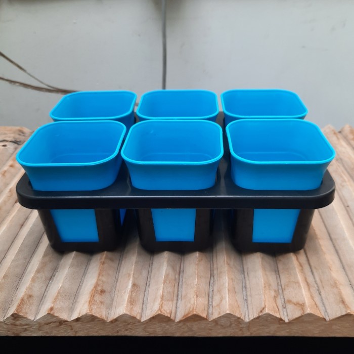 Jual TRAY POT KOTAK 7CM BIRU SEMAI BIBIT SUKULEN KAKTUS HIDROPONIK ...