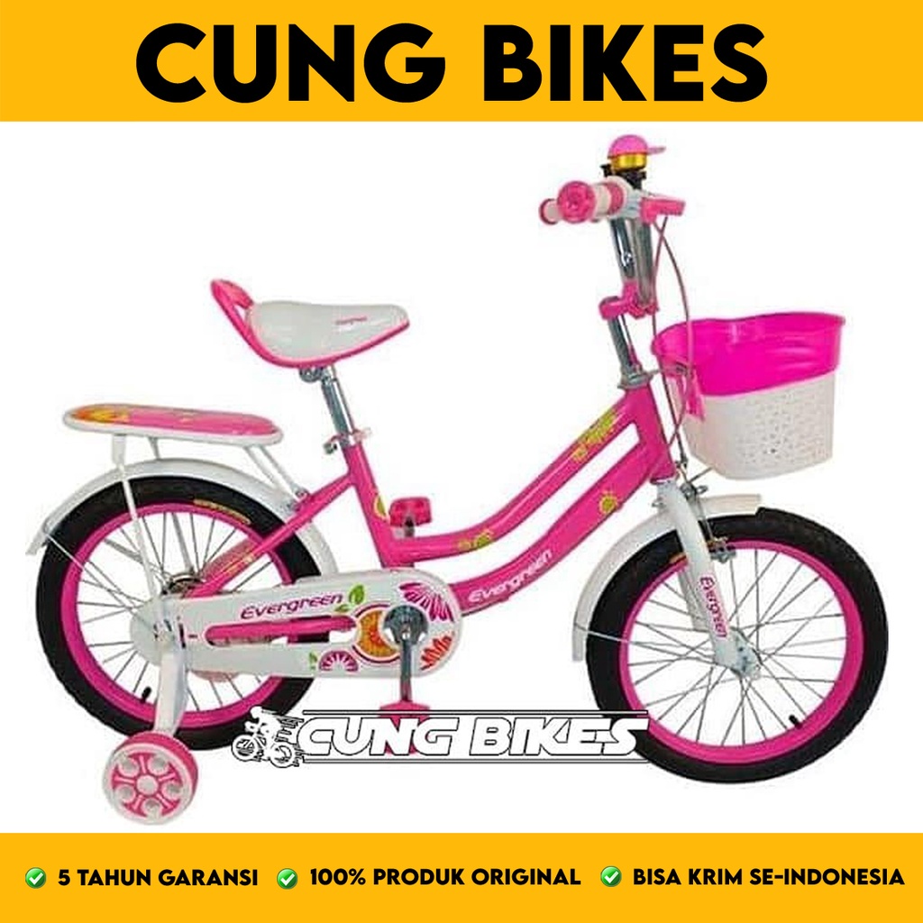 Jual Sepeda anak perempuan Mini 12 16 inch Evergreen Daisy sepeda ...
