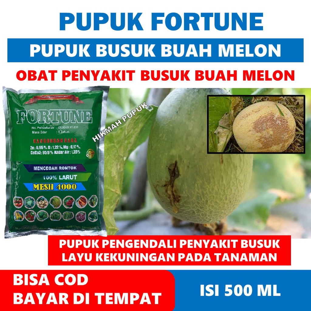 Jual (PROMO) FORTUNE isi 1KG OBAT BUSUK BUAH MELON - Obat Layu Pada ...