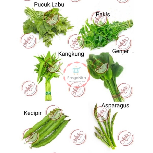 Jual Kangkung Genjer Pakis Paku Akar Alang-alang Gonde Kecipir ...