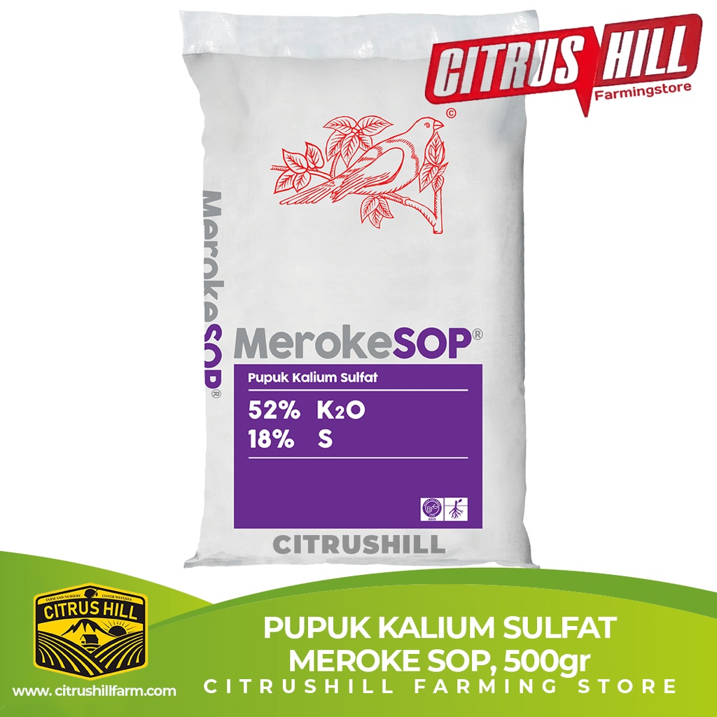 Jual PUPUK MEROKE SOP KEMASAN ORIGINAL PABRIK 1KG - KALSIUM SULFAT ...