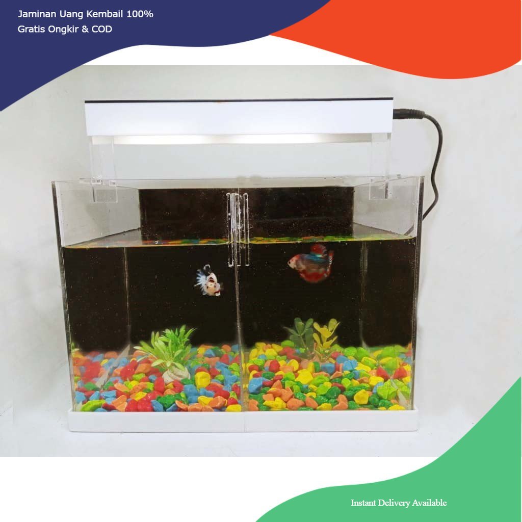 Jual Aquarium cupang, soliter cupang, aquarium cupang akrilik, soliter ...