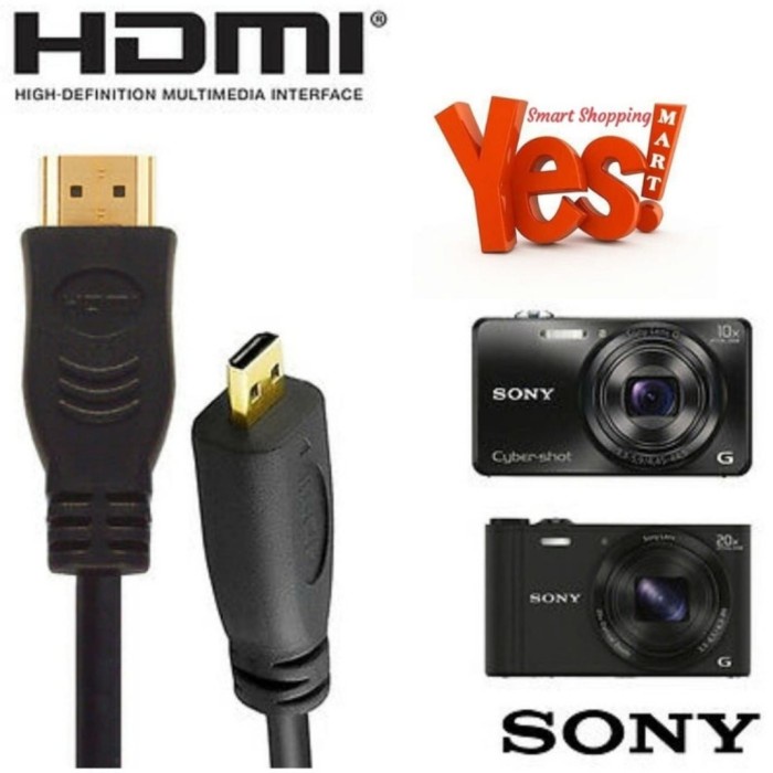 Jual NEW (Termurah) Kabel hdmi tipe D kamera Sony A 5000, A5100, A6000 ...