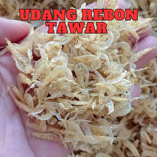 Jual udang rebon tawar super ( asli tawar ) 1kg | Shopee Indonesia