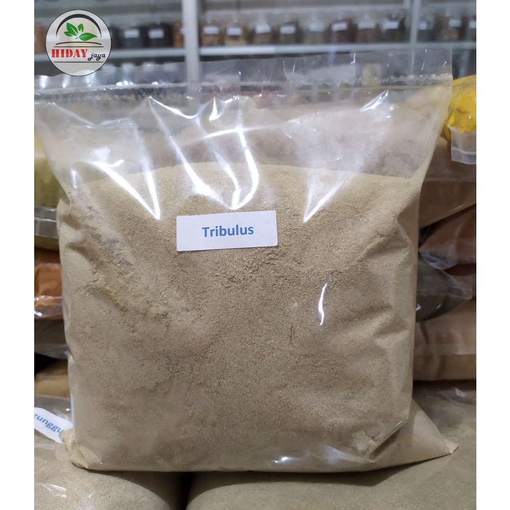 Jual Bubuk Akar Batang Daun Tribulus 1 Kg Organik Tanaman Herbal ...