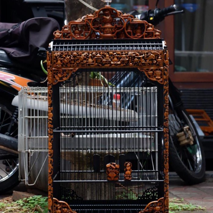 Jual sangkar kacer, sangkar kenari, sangkar ukir | Shopee Indonesia