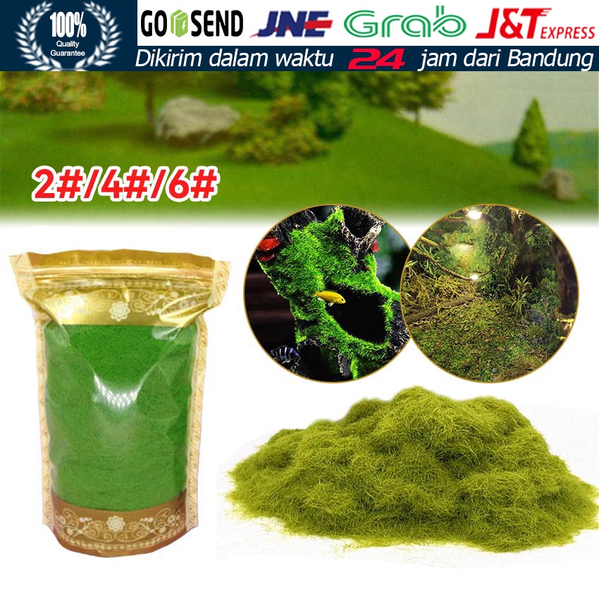 Jual 35G Lumut Kering / Green Moss / Rumput Kering Sintetis Artificial ...