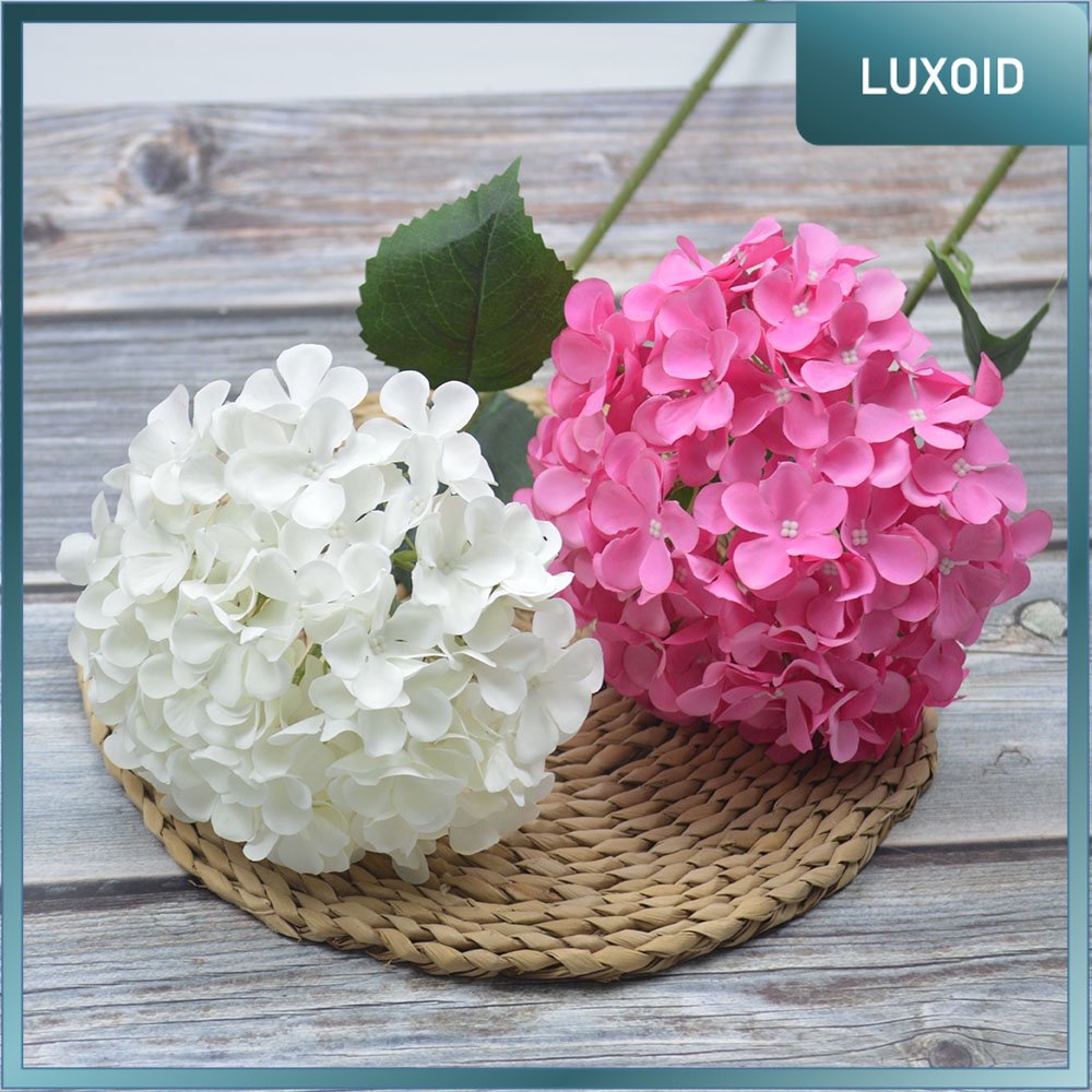 Jual LUXOID - Bunga Hydrangea HORTENSIA 70CM Bulat Jumbo 1Kuntum ...