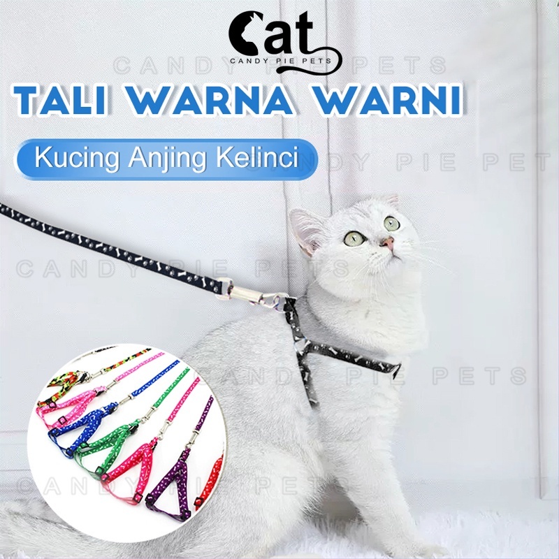 Jual Harness Kucing Y Tali Tuntun Kucing Kelinci Tali Kalung Kucing ...