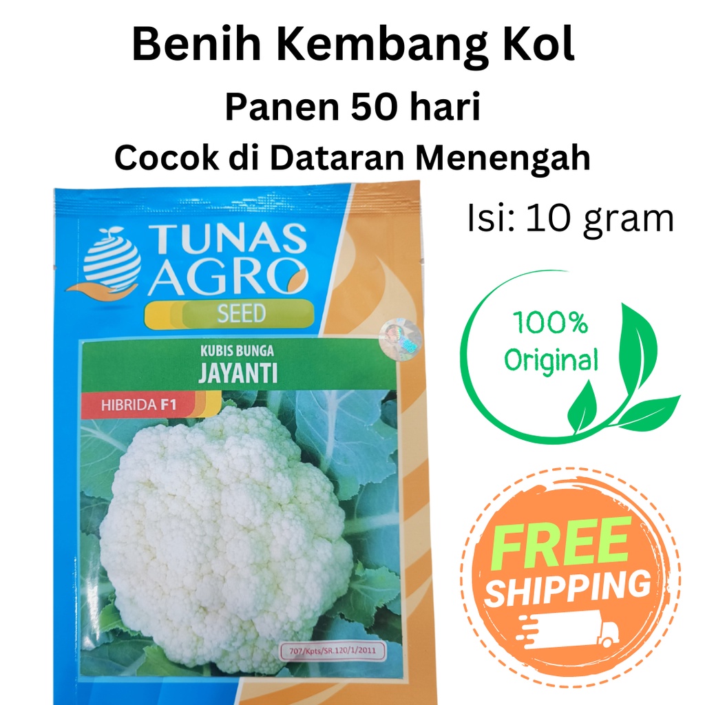 Jual Benih Bunga Kembang Kol JAYANTI F1 Tunas Agro isi 10 gram Tanaman ...