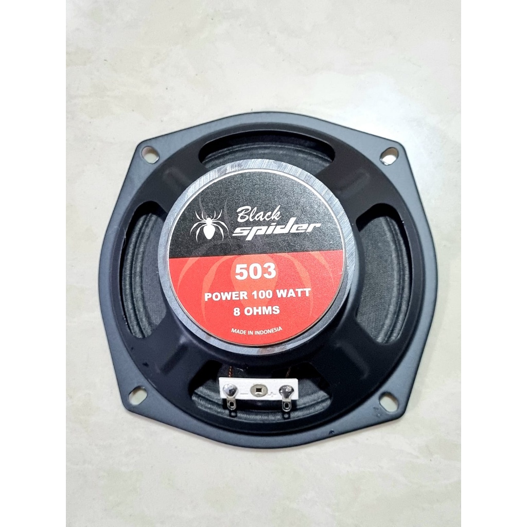 Jual Speaker Komponen 5 Inch BS503 FULL RANGE - Suara Bass Jernih, DIY Speaker Aktif | Shopee ...