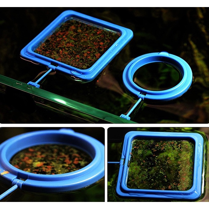 Jual MAJA Tempat Makan Ikan / Pengapung Tempat Makanan Ikan / Floating ...