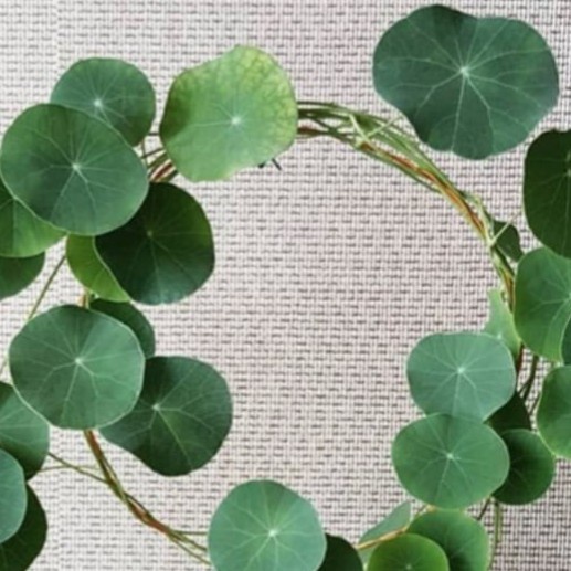 Jual Loop Planters - 25cm Media Rambat Turus Besi Bulat Tanaman Hias ...