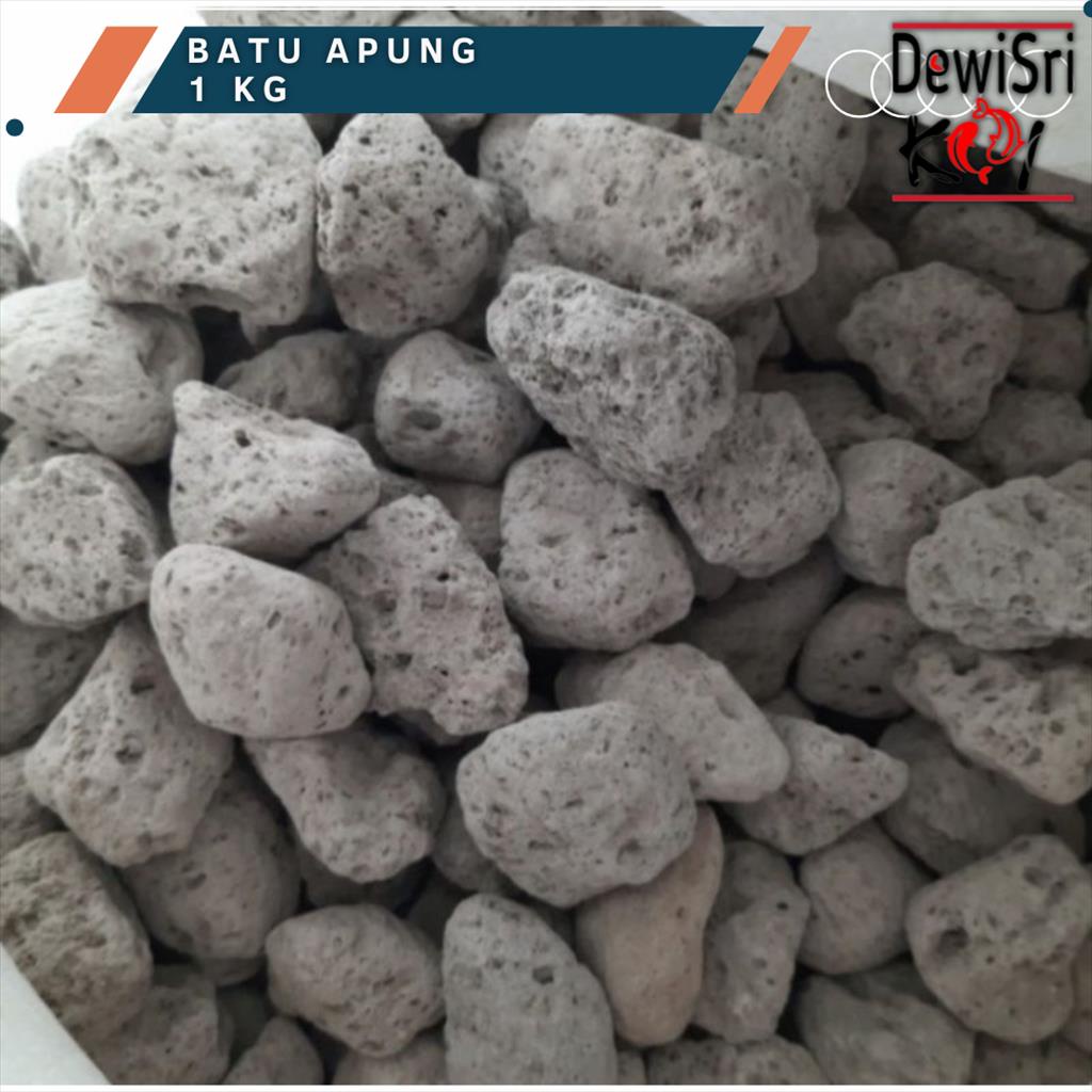 Jual Pumice Batu Apung 1kg Media Filter Air tawar atau laut Kolam ...