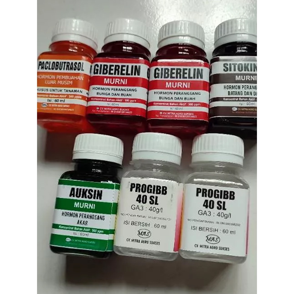 Jual HORMON ZPT GIBERELIN, AUKSIN, ANRIN, SITOKININ, ZAT PENGATUR ...