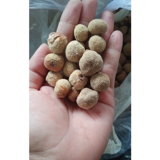 Jual Benih Biji Pohon Jati Super Unggul Benih/Biji/Benih Biji/Biji ...