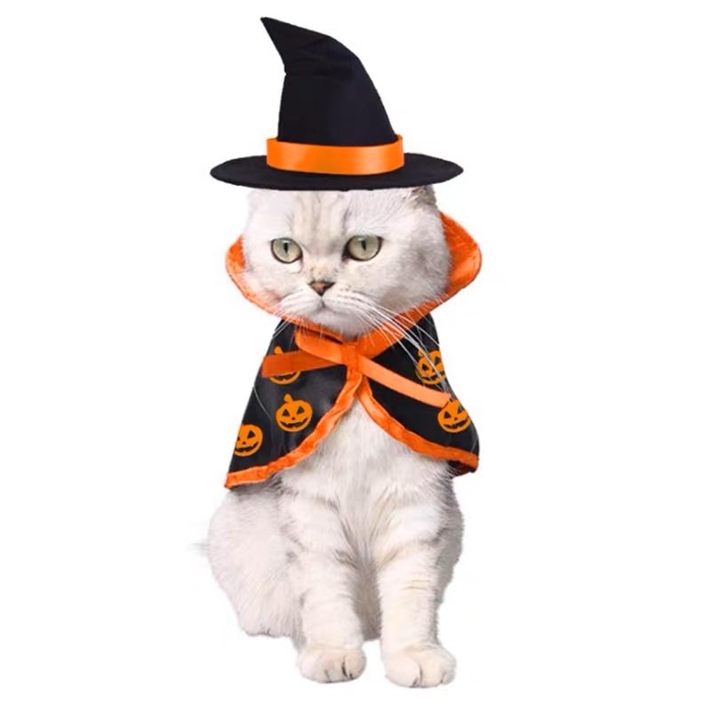 Jual Kostum Halloween Anjing Kucing - Kostum Cosplay Halloween Untuk ...