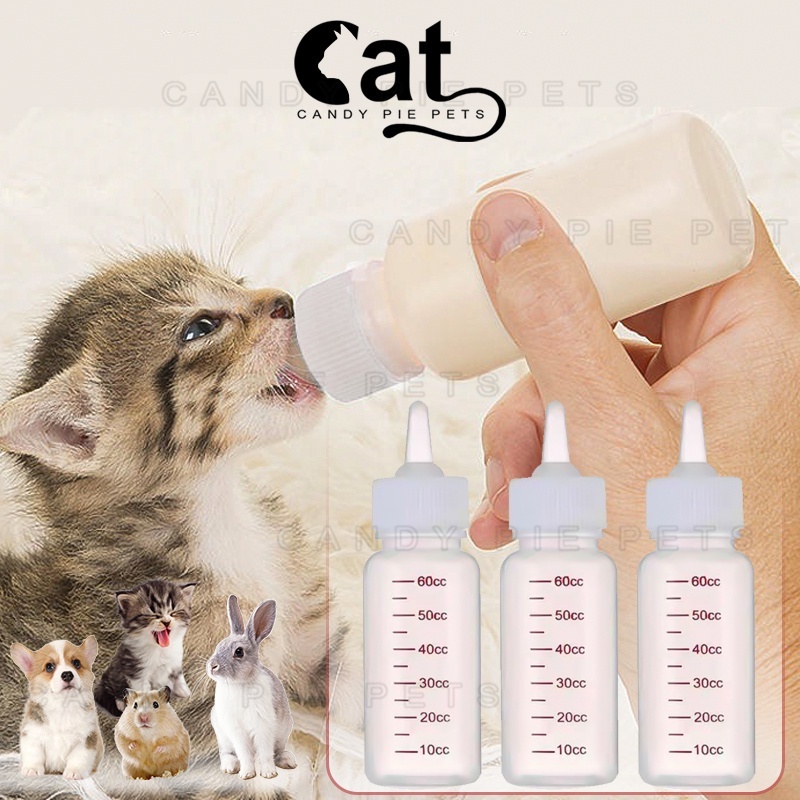 Jual Dot Anak Kucing Baru Lahir Botol Kucing Anjing + Sikat+Dot ...