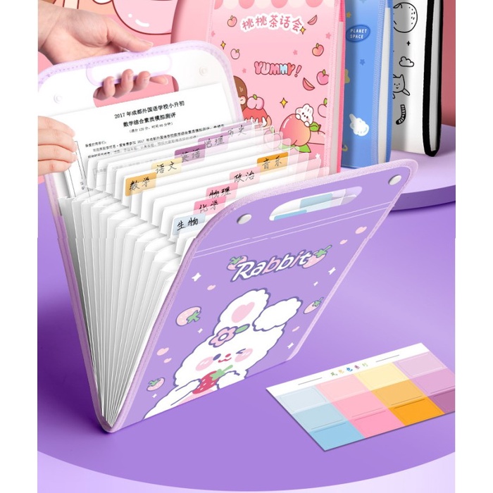 Jual [LOGU] Organizer kertas capybara, Map kertas, Dokumen Keeper slot ...