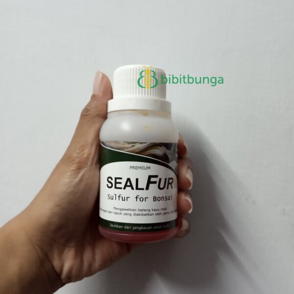 Jual Sealfur 100 ml Obat Jin Lime Sulfur Bonsai Pengawet Batang Kayu ...
