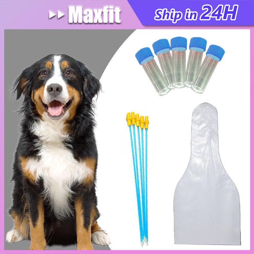 Jual 15Pcs Alat Inseminasi Buatan Hewan Anjing Kucing Sapi Ayam Kambing ...