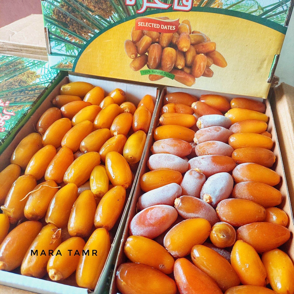Jual Kurma Ruthob Libya segar panen terbaru 1 kg - KURMA RUTHOB ENAK ...
